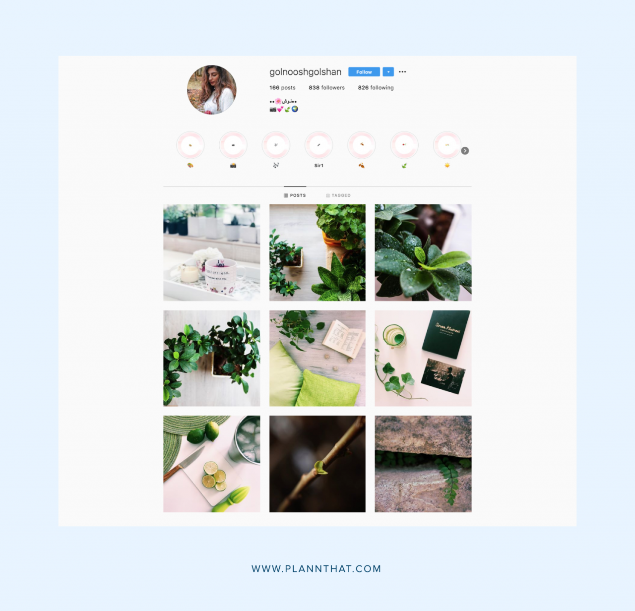 The Psychology Of Color In Instagram Marketing – Plann