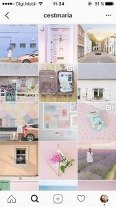 24 Instagram Feed Themes + How To Re-create them ALL Yourself!