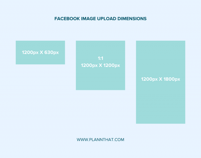 All The Social Media Dimension Sizes You Need To Know In 2024 – Plann by Linktree