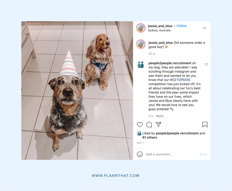 10 Delightful Dogs To Follow On Instagram – Plann by Linktree