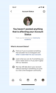 Instagram Shadow Ban: What Is It & How To Fix It – Plann