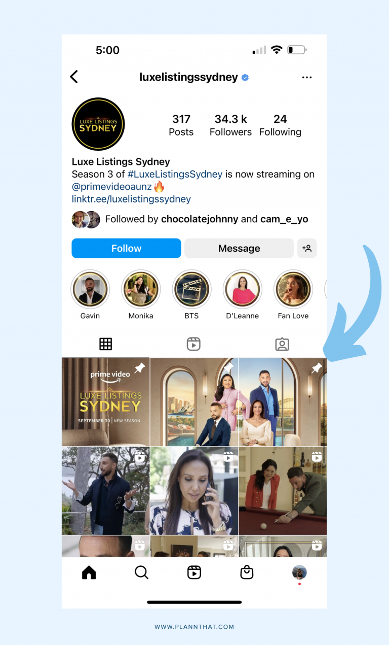 View Pinned Posts in your Plann Social Grid – Plann by Linktree