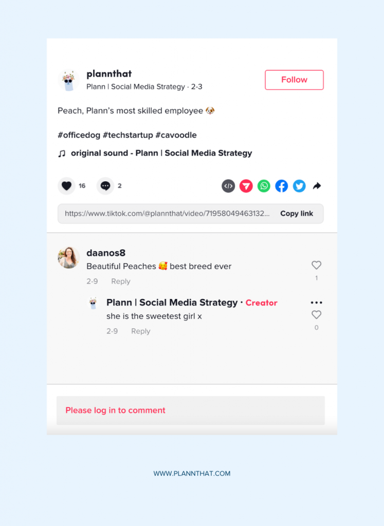 How to Engage with TikTok Users and Amplify User-Generated Content – Plann by Linktree
