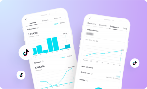 5 TikTok Metrics Every Small Business Should Be Tracking – Plann by Linktree