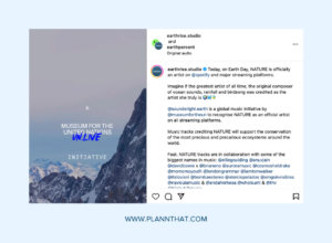 5 Instagram Collab Post Ideas To Improve Your Reach + The Benefits ...