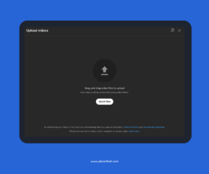 The Ultimate Guide to YouTube Video Sizes – Plann by Linktree